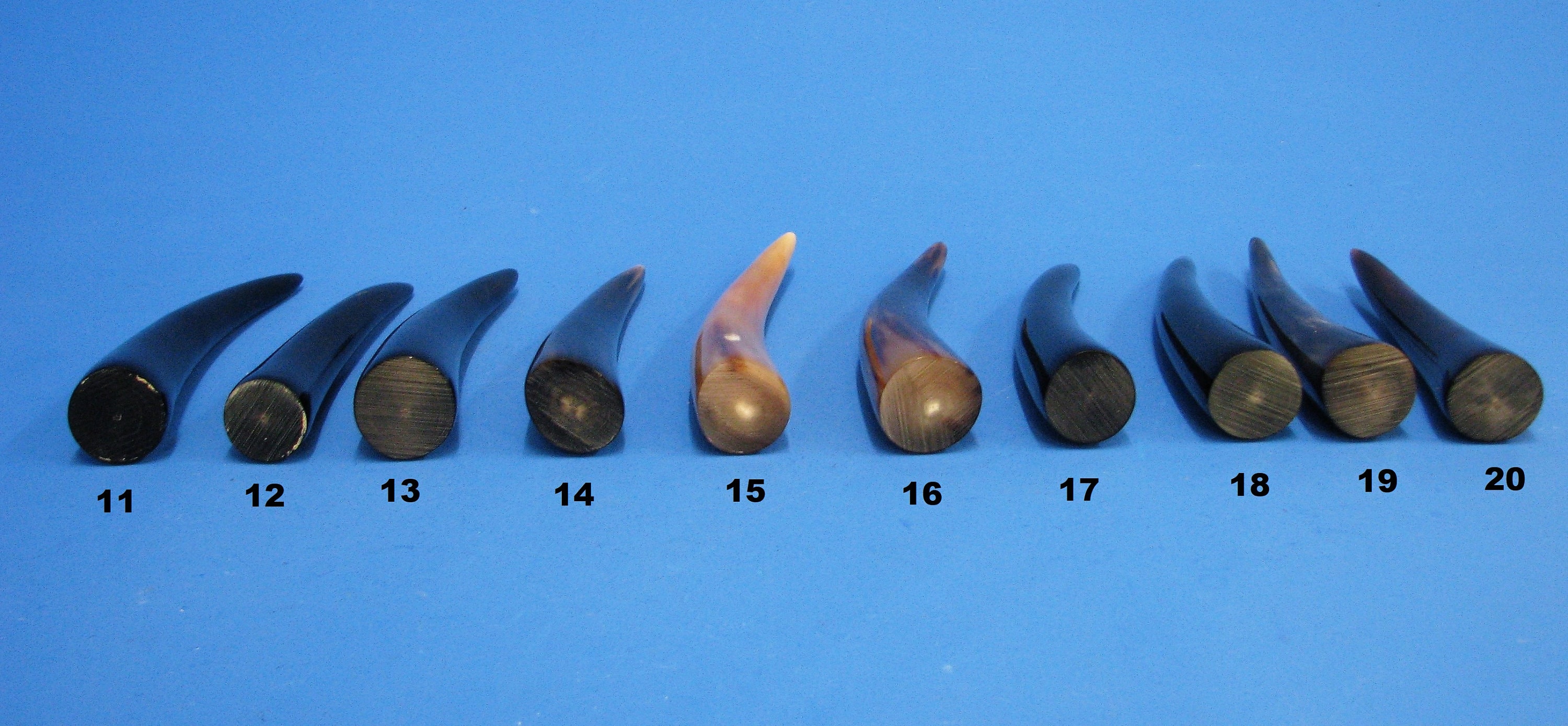 Beef Horns Polished Horn Tip, Solid Cattle Horn, Real Animal Horn ...