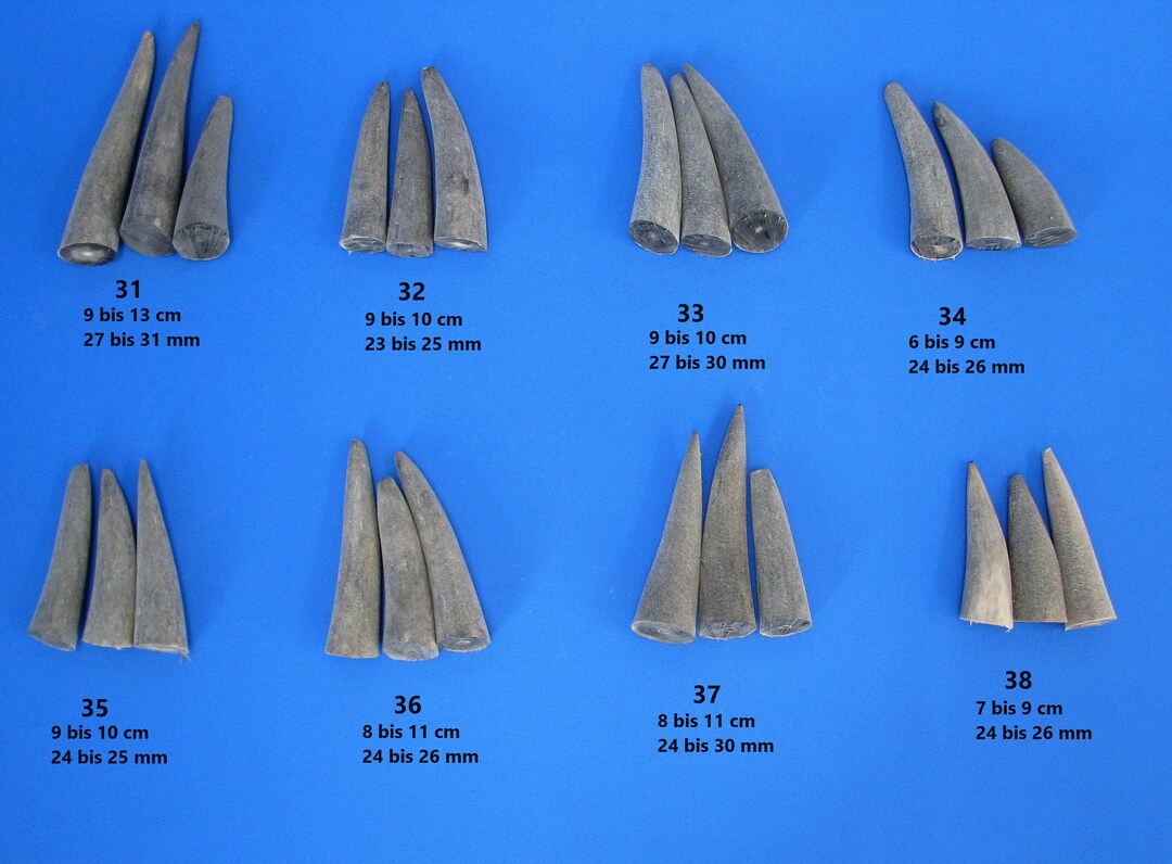 Cattle Horns, Pack of 3 Solid Horn Tips Ground, Solid Cattle Horn, Real ...