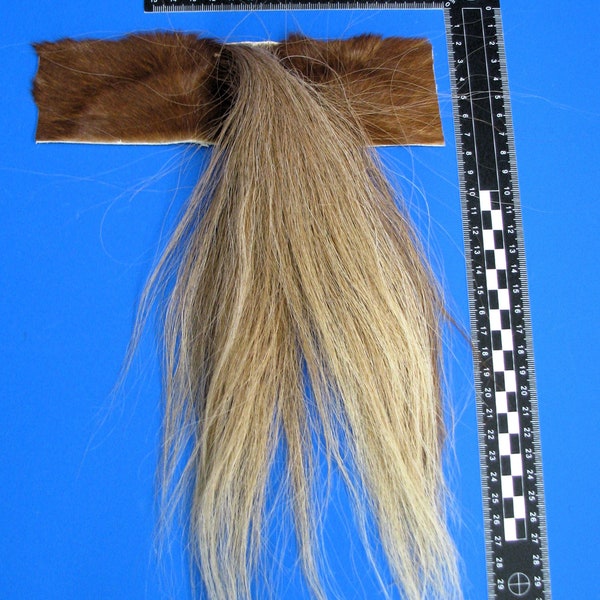 Real Horse Hair - Etsy