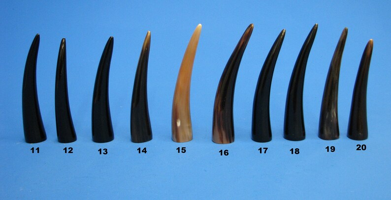 Beef Horns Polished Horn Tip, Solid Cattle Horn, Real Animal Horn ...