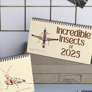 Incredible Insects of 2025 Desktop Calendar - Etsy
