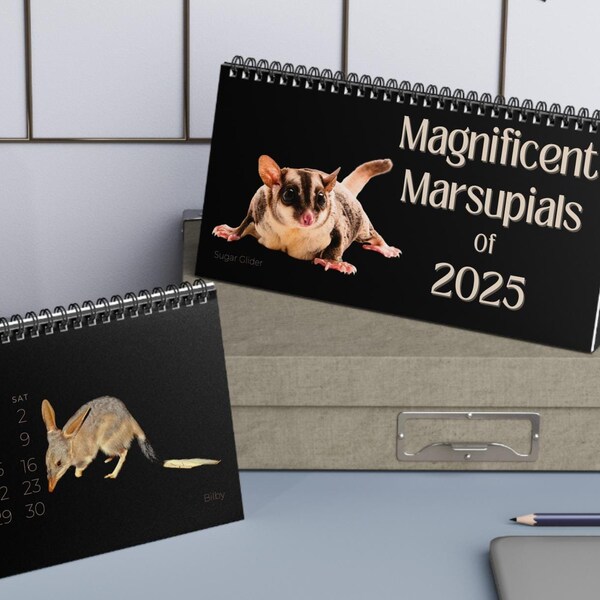 Devil Calendar - Etsy