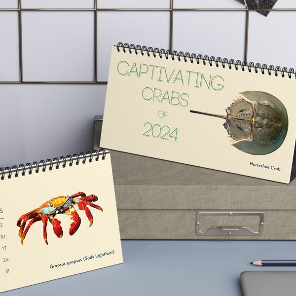 Crabs 2024 Calendar - Etsy