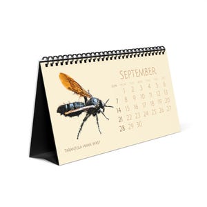 Incredible Insects of 2025 Desktop Calendar - Etsy