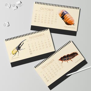 Incredible Insects of 2025 Desktop Calendar - Etsy