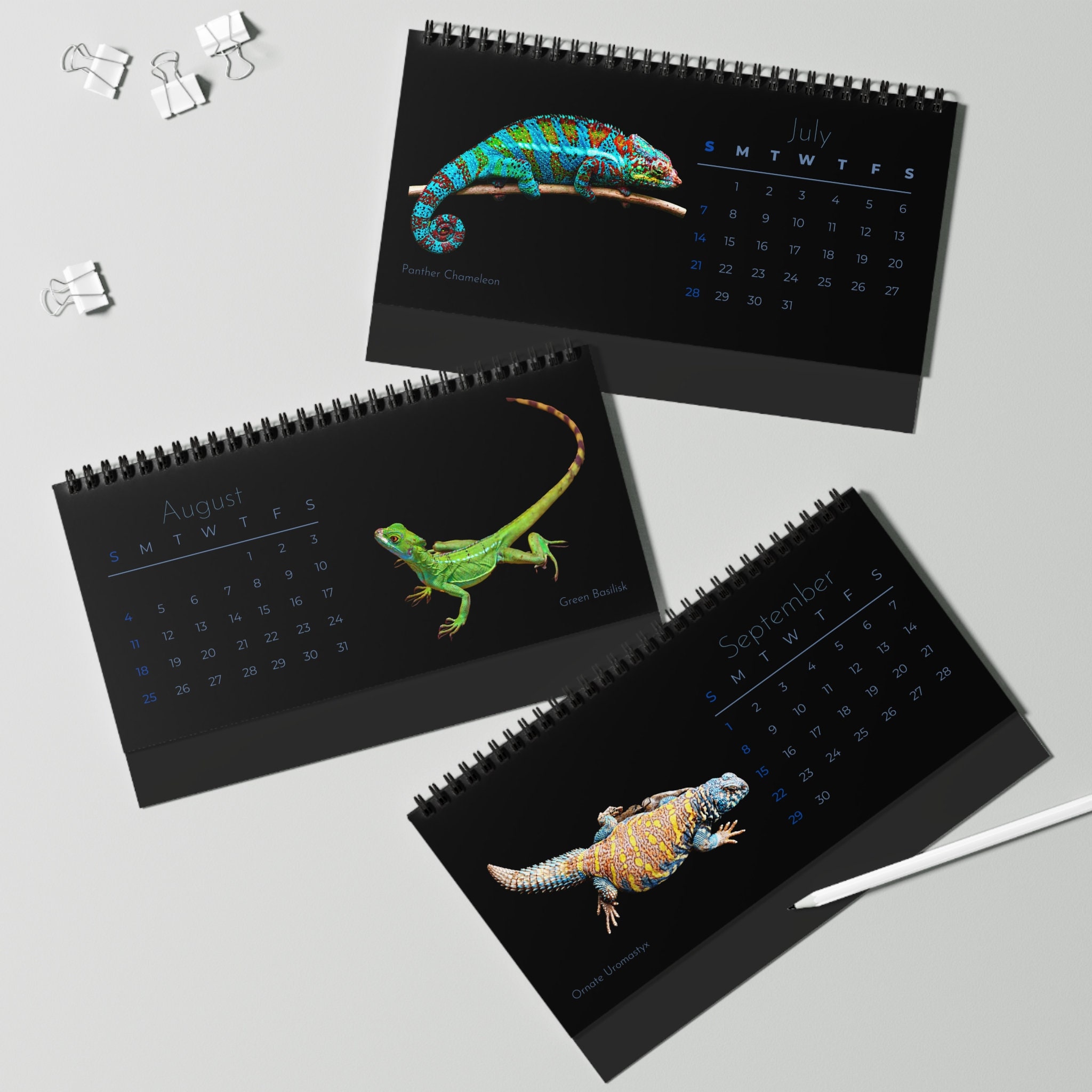 Legendary Lizards of 2024 Desk Calendar - Etsy