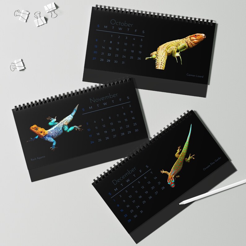 Legendary Lizards of 2024 Desk Calendar - Etsy