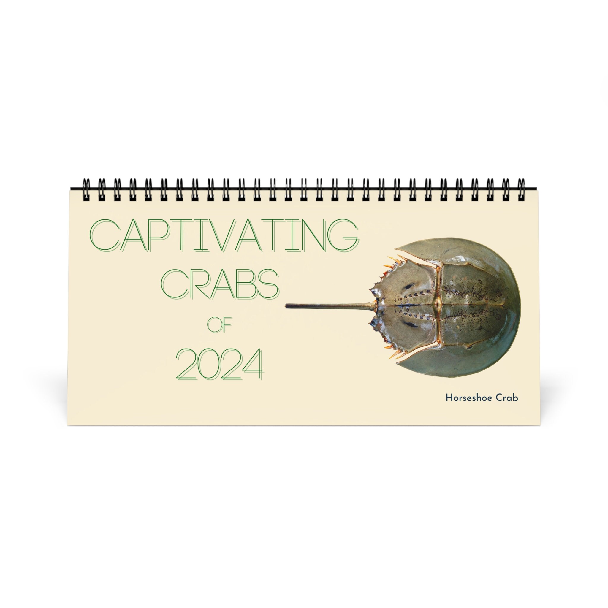 Captivating Crabs of 2024 Desk Calendar - Etsy