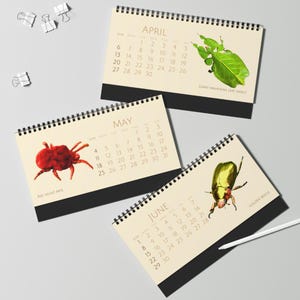 Incredible Insects of 2025 Desktop Calendar - Etsy