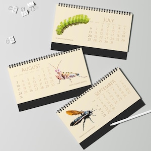 Incredible Insects of 2025 Desktop Calendar - Etsy