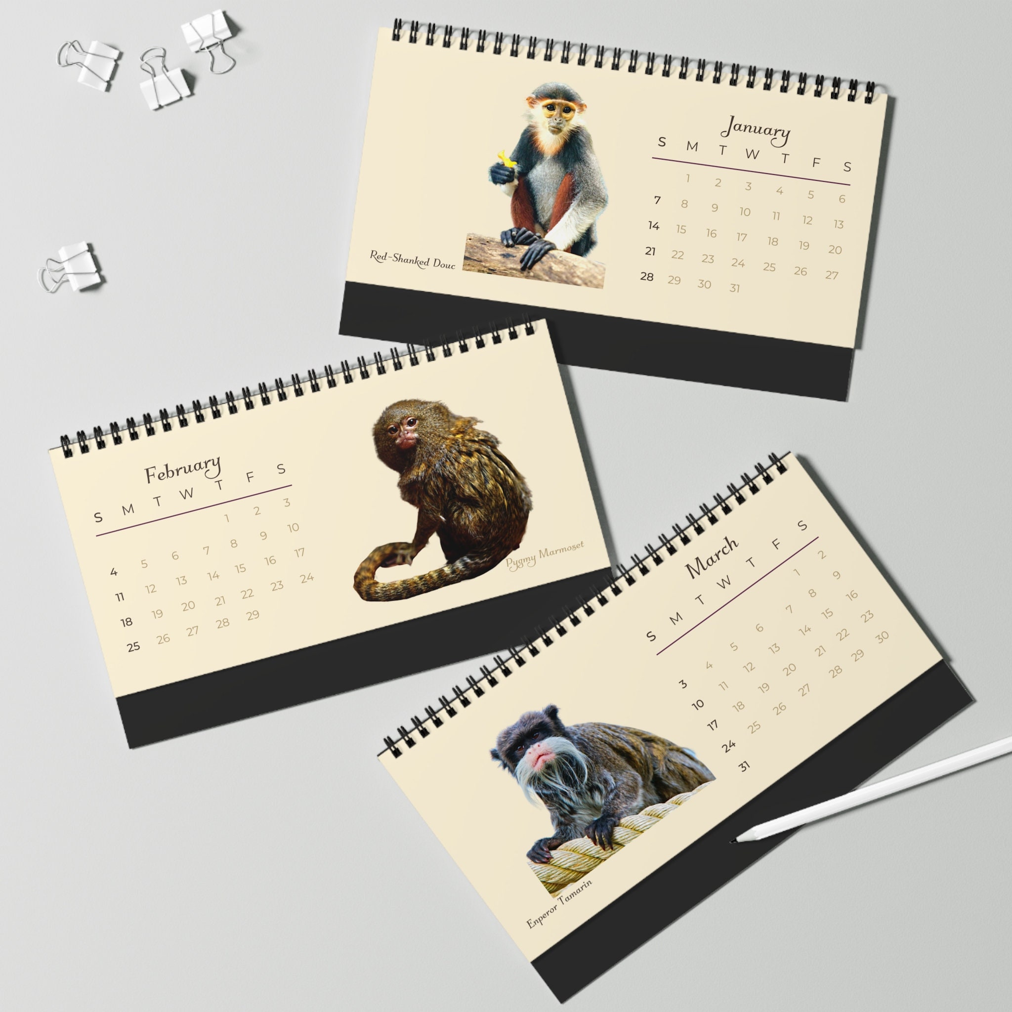 Mightiest Monkeys of 2024 Desk Calendar - Etsy