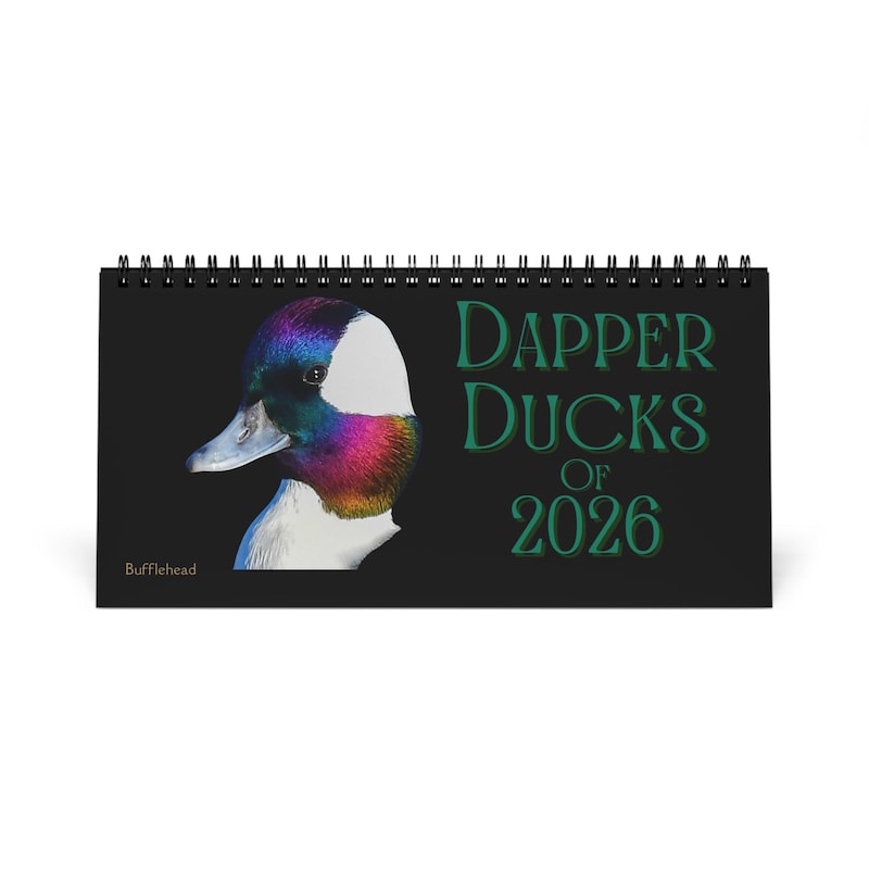 Duckallutors - Etsy Canada