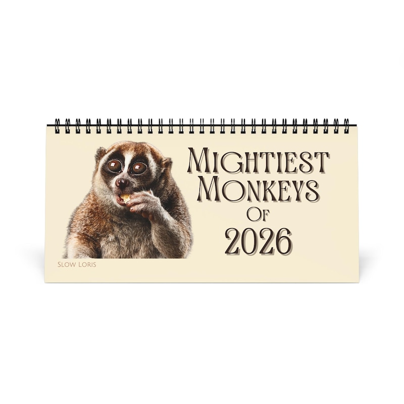 2026 Monkey Calendar - Etsy