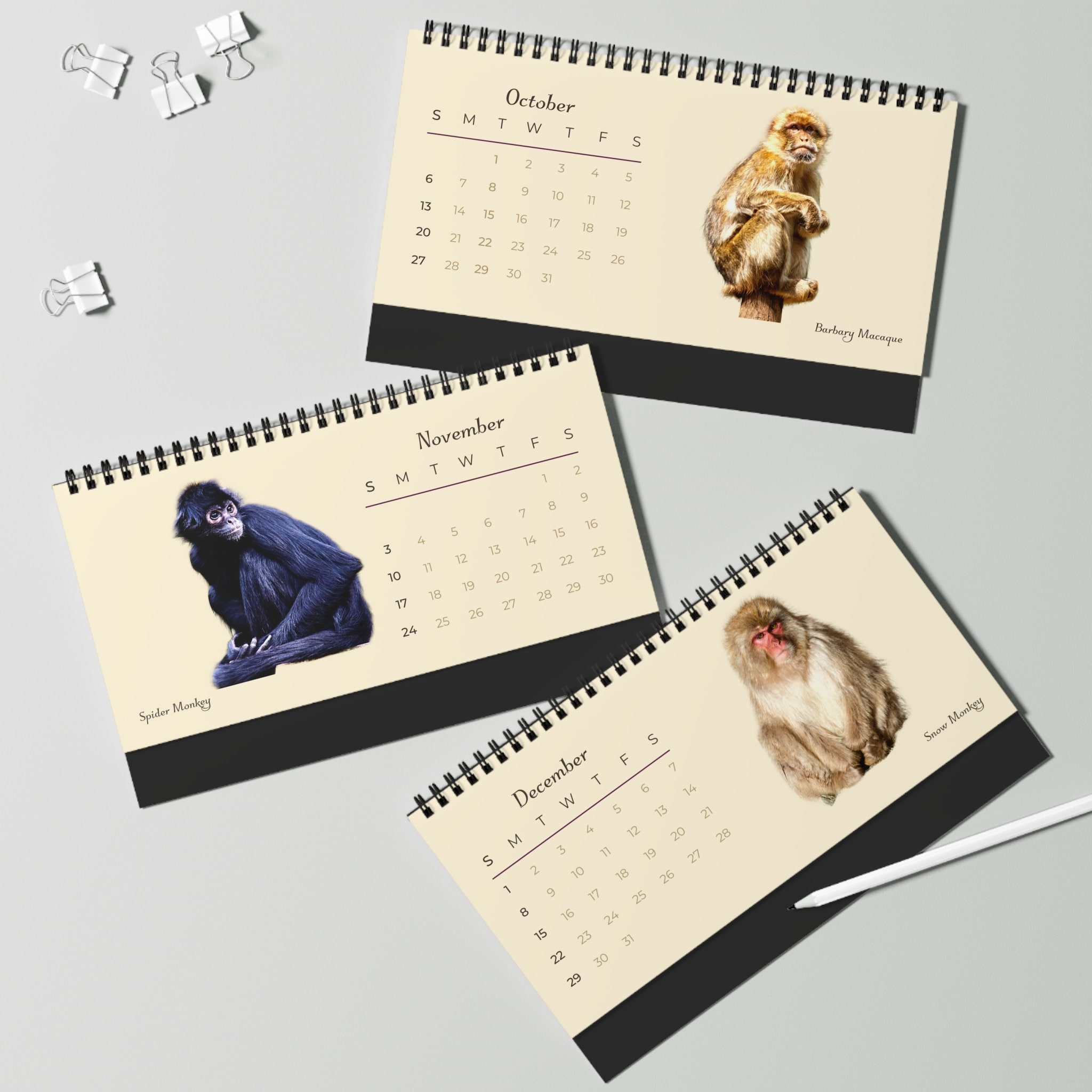 Mightiest Monkeys of 2024 Desk Calendar - Etsy
