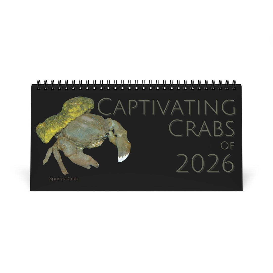 Captivating Crabs of 2026 Desktop Calendar - Etsy
