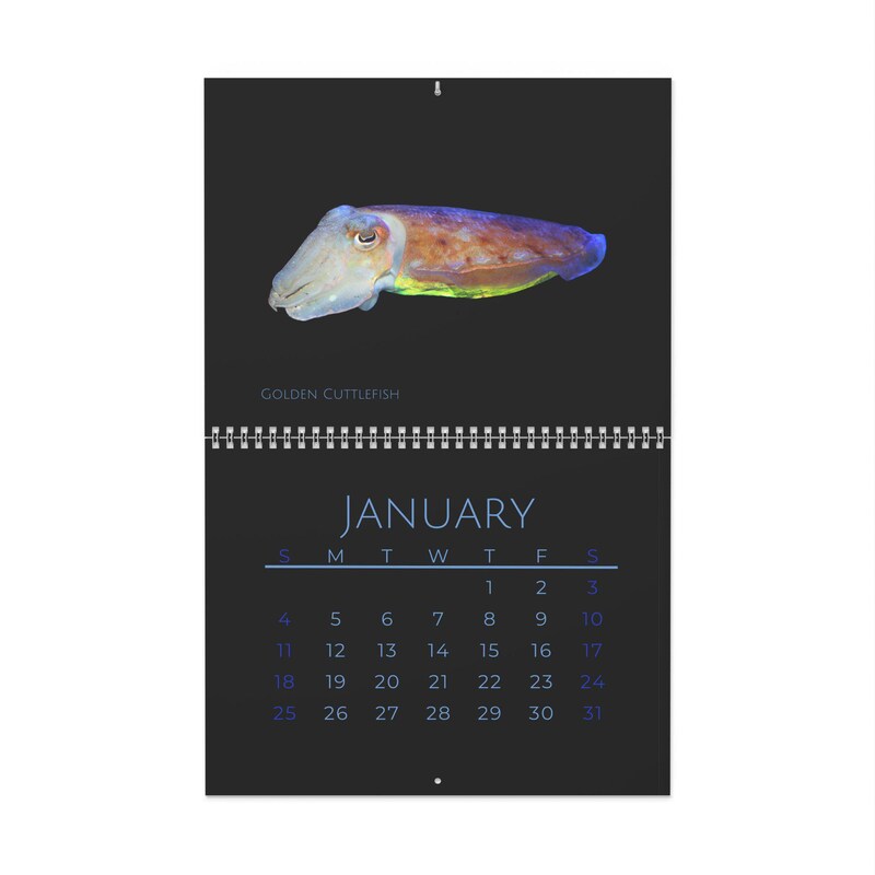 2026 Octopus Calendar - Etsy