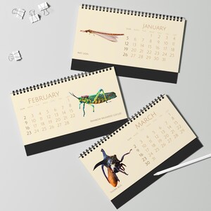 Incredible Insects of 2025 Desktop Calendar - Etsy