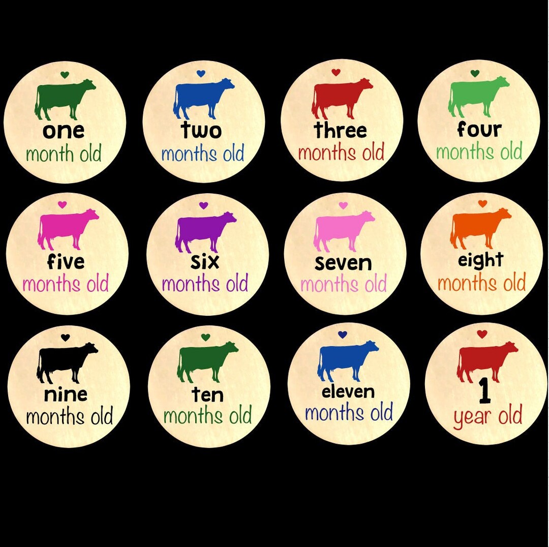 Wooden Baby Milestone Disc Set Cow Baby Milestone Discs - Etsy