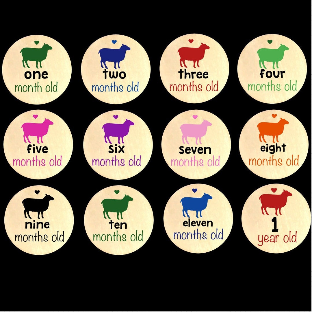 Wooden Baby Milestone Disc Set Sheep Baby Milestone Discs First Baby ...