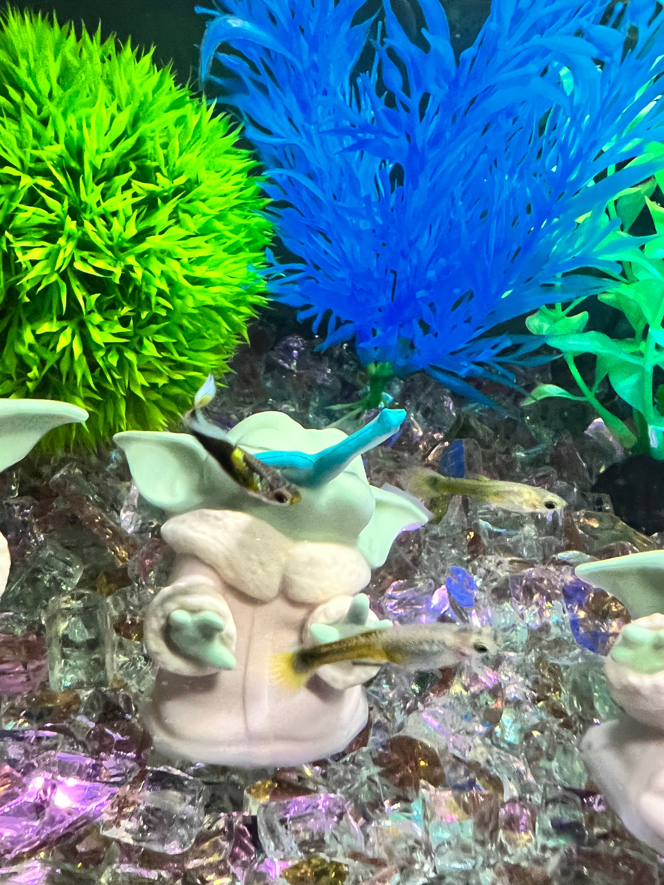 Baby Yoda Aquarium Decor - Etsy