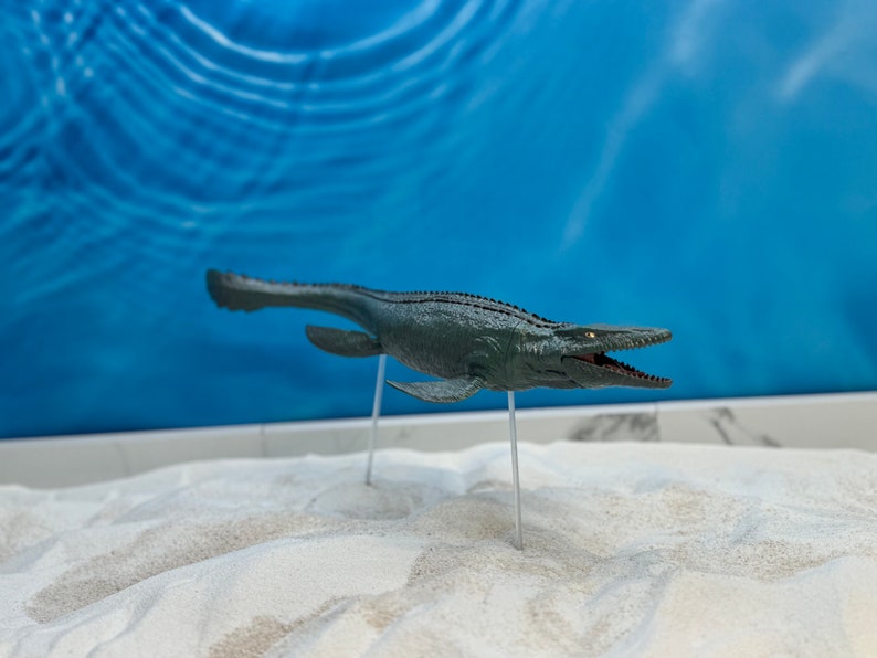 Mosasaur and More Safe Aquarium Decor - Etsy
