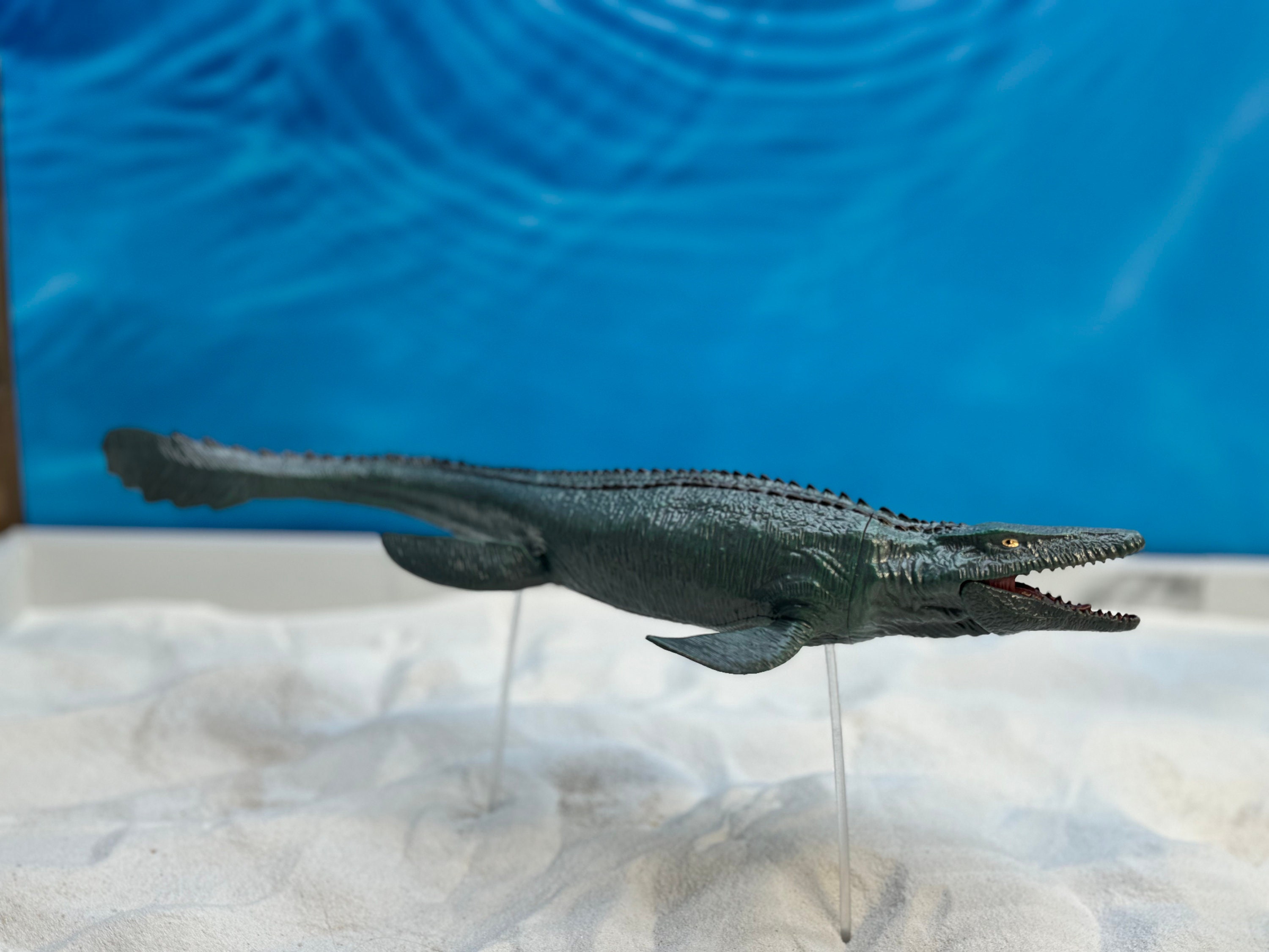 Mosasaur and More Safe Aquarium Decor - Etsy