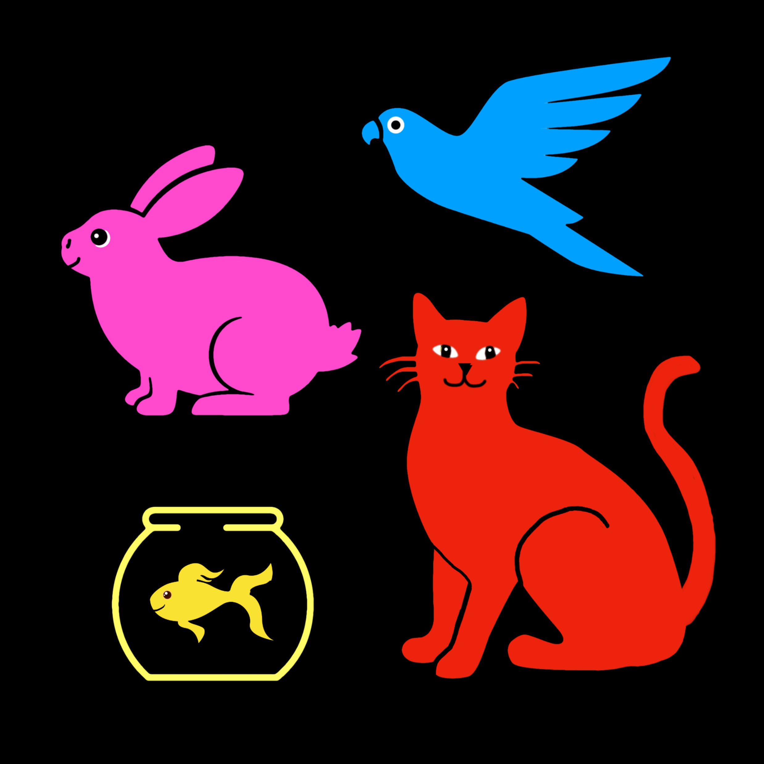 I See Pets! A High Contrast Book for Visual Development - Etsy