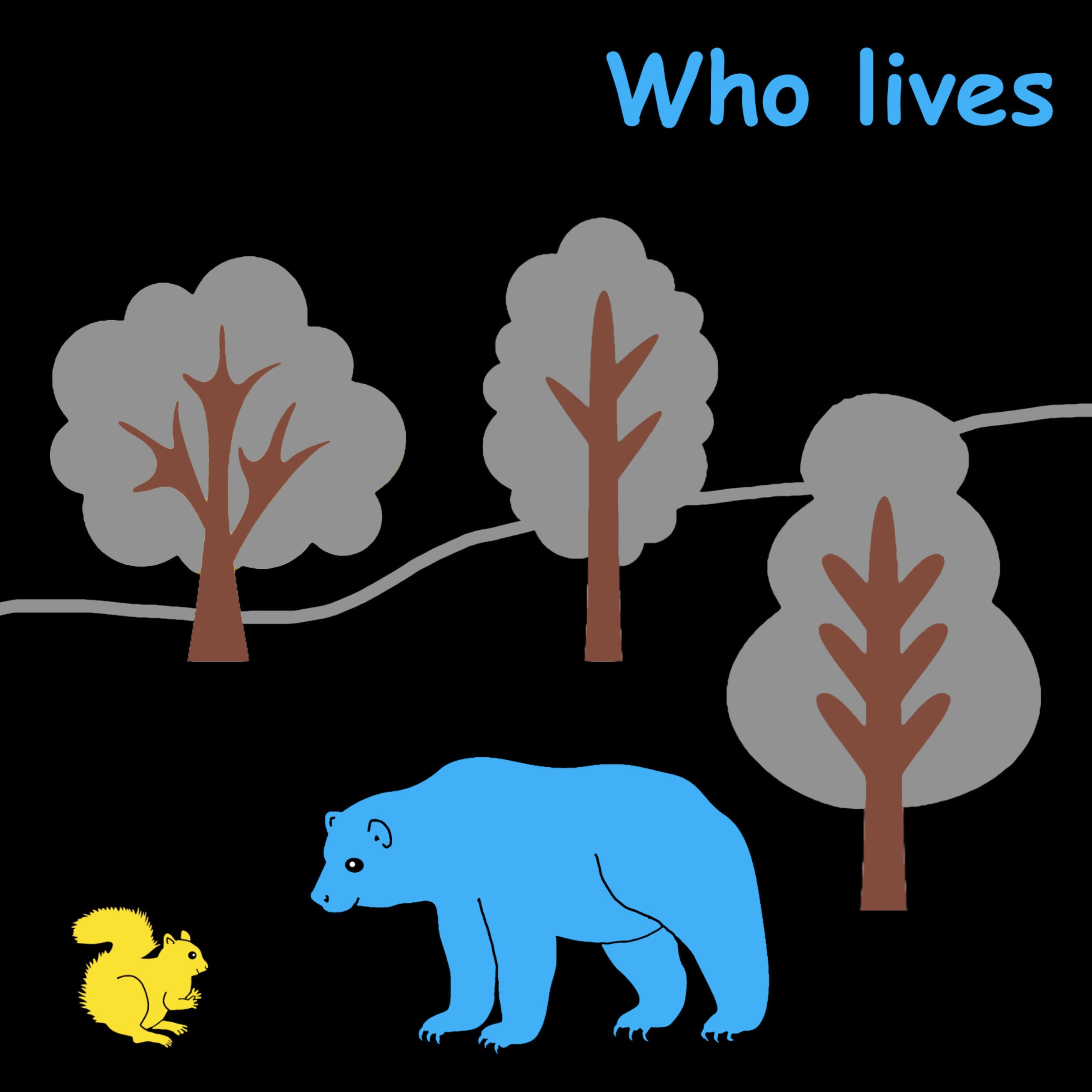 I See a Bear! A High Contrast Book for Visual Development - Etsy UK