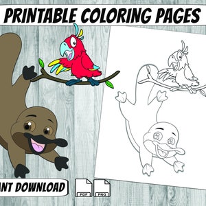 20 Australian Animals Coloring Pages - Volume 2 - Hand Drawn - Coloring ...