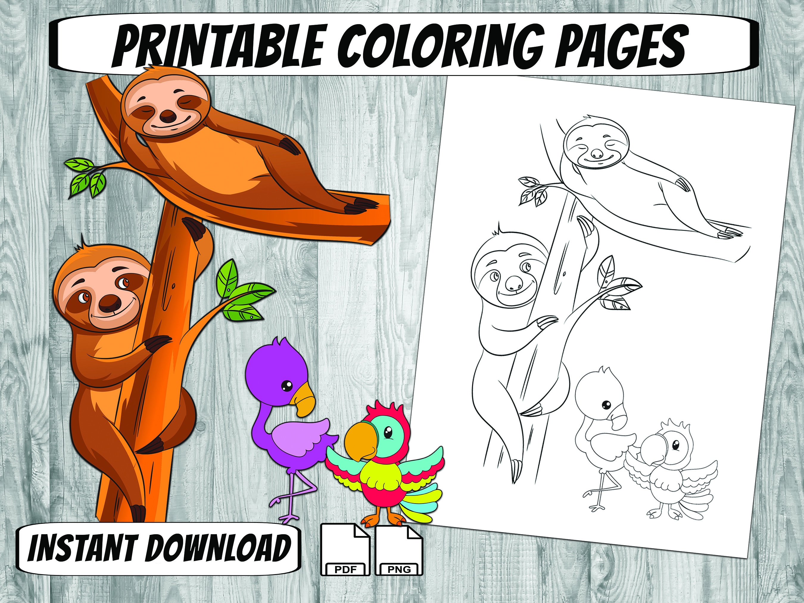 20 Easy Sloth Coloring Pages With Dot to Dot Simple Enough for Kids ...