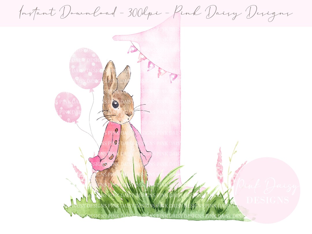 Pink Flopsy Bunny, Peter Rabbit, 1st Birthday, First Birthday Bunny ...