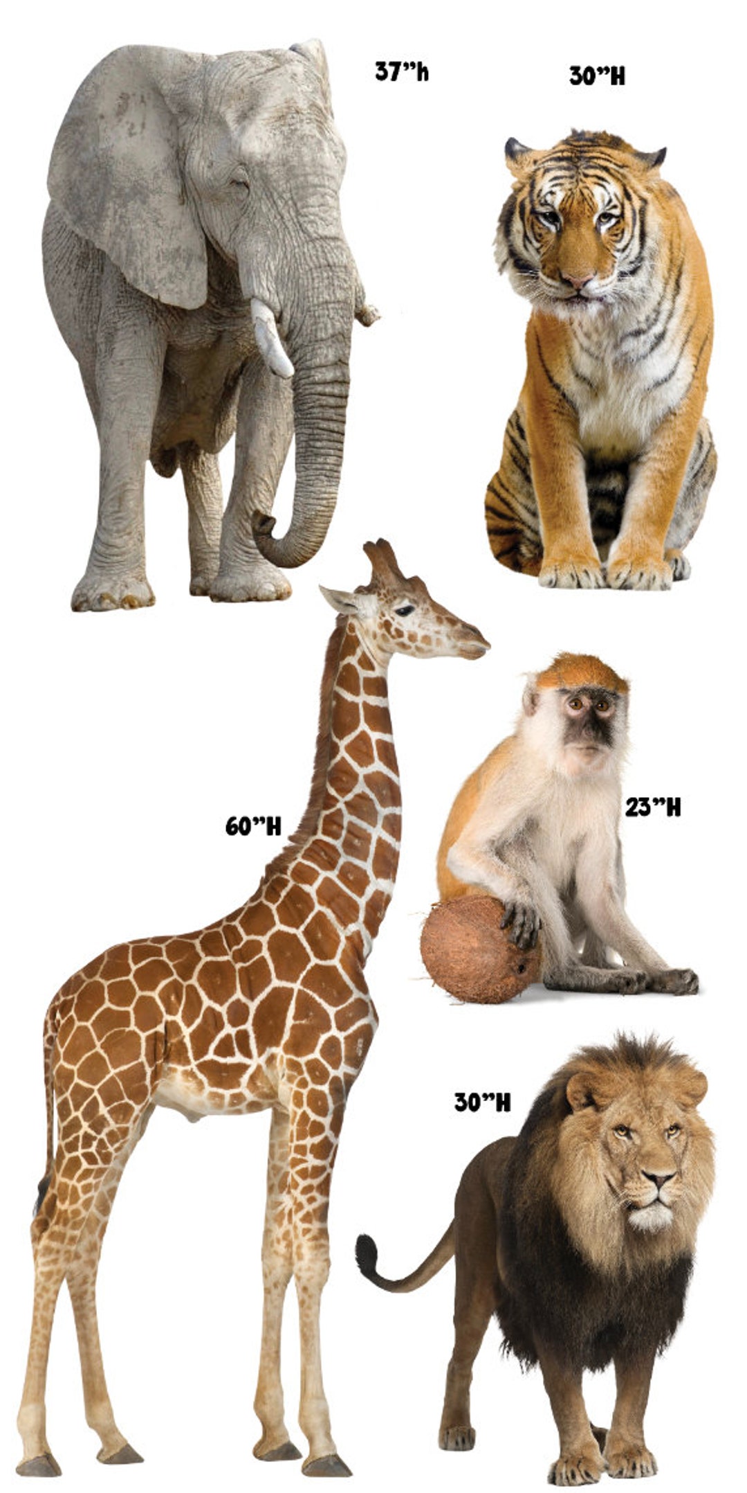 Safari Animals| Yard Cards - UV High Resolution Coroplast Printing ...