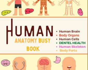 Human Anatomy Printable Preschool Busy Book Worksheets Anatomy ...