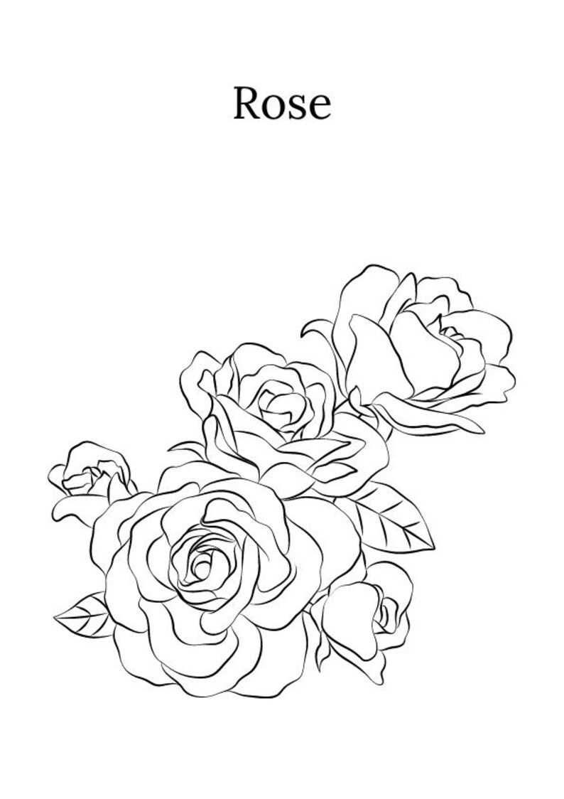 30 Easy Flower Coloring Pages Instant PDF Download Relaxing Floral ...