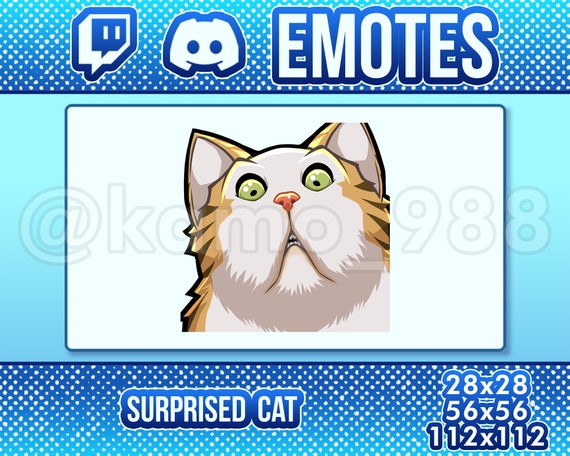 Twitch Emote 1x Surprised Cat / Funny / Meme / Kawaii / Cute - Etsy