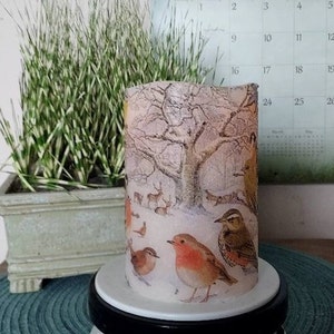 WINTER/BIRDS Flameless Candle W/timer, Bird Flameless Candle, Winter ...