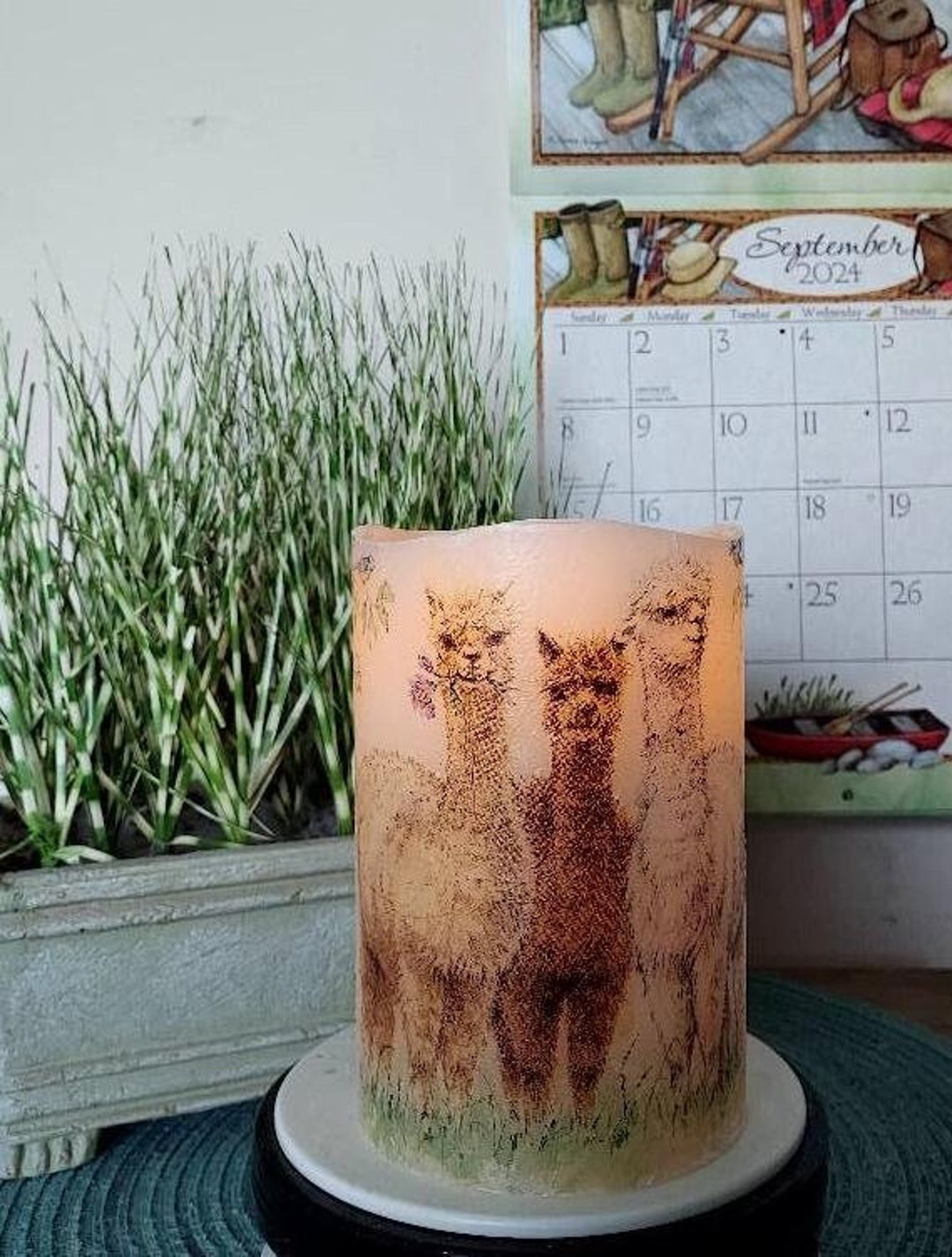 LLAMA Flameless Candle W/timer, Flameless Candle, Racoon Candle, Racoon ...