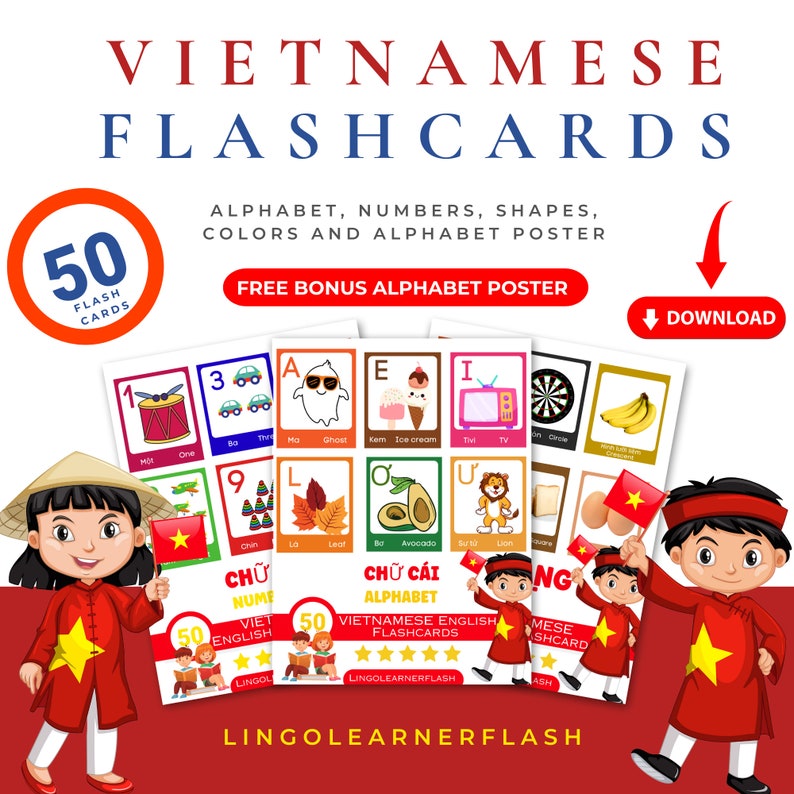 Vietnamese Bilingual Flashcards: Dive Into the Vietnamese - Etsy