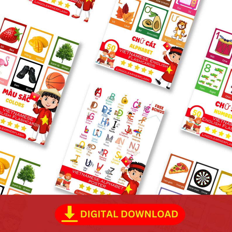 Vietnamese Bilingual Flashcards: Dive Into the Vietnamese - Etsy