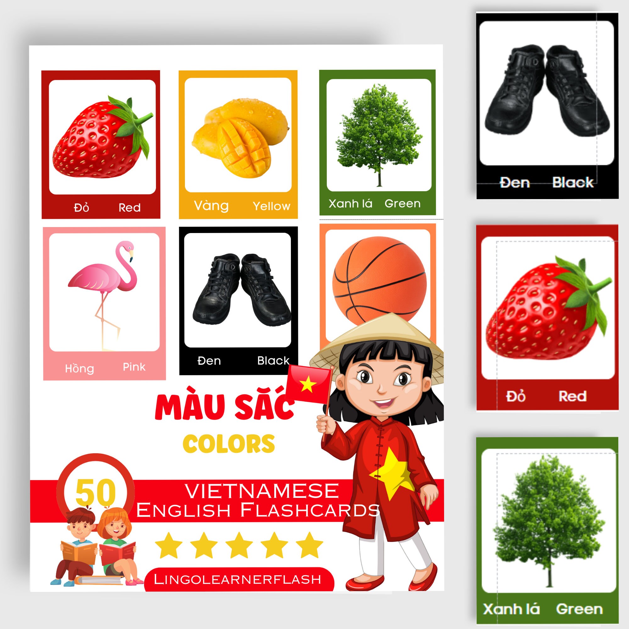Vietnamese Bilingual Flashcards: Dive Into the Vietnamese - Etsy