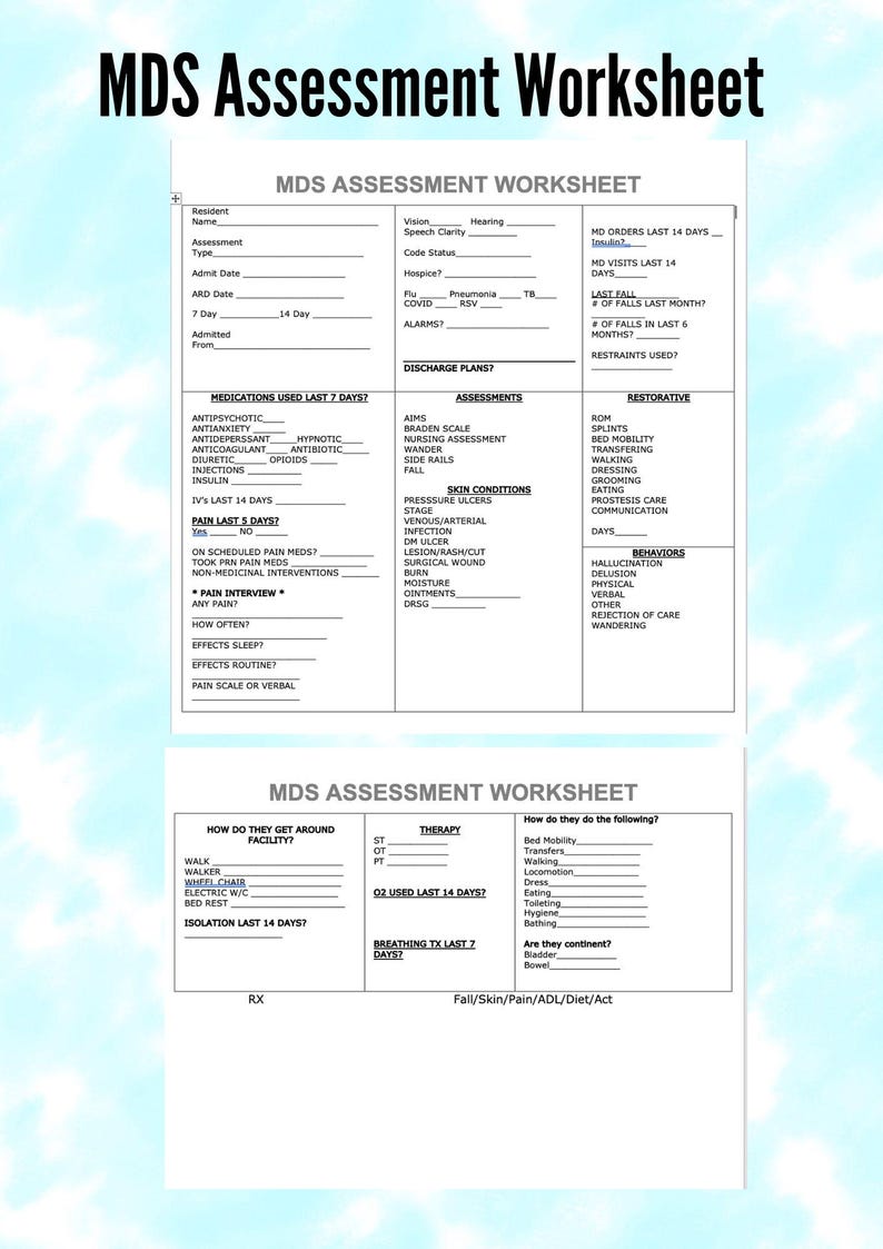 MDS Assessment Worksheet - Etsy