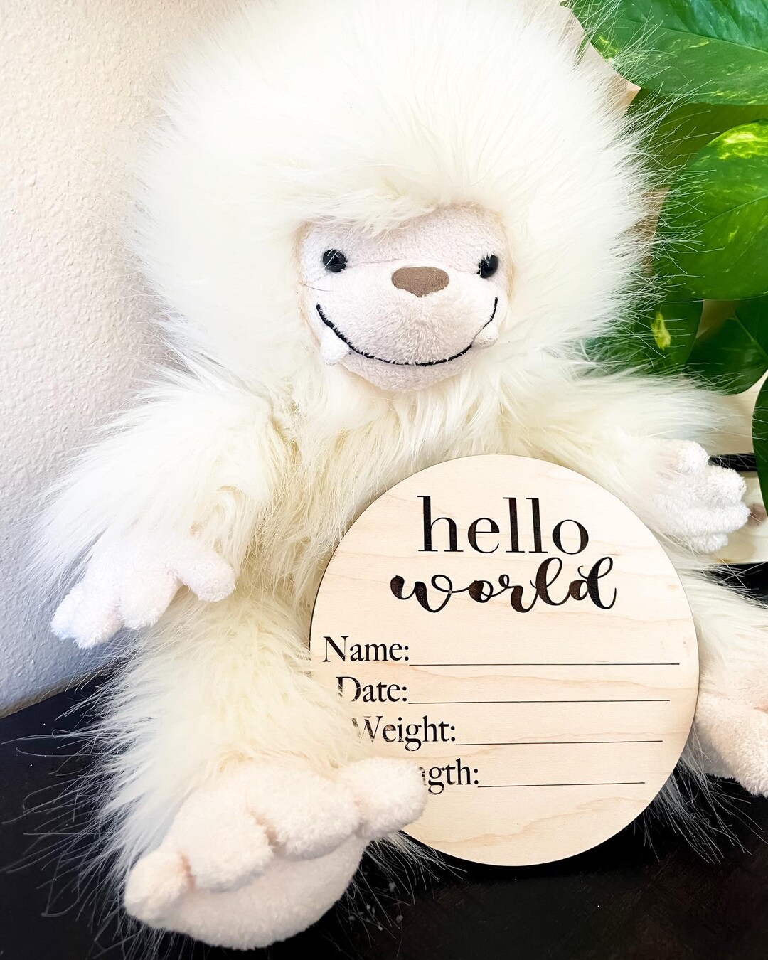 Hello World Baby Announcement Sign, Birth Announcement, Baby Sign, Baby ...