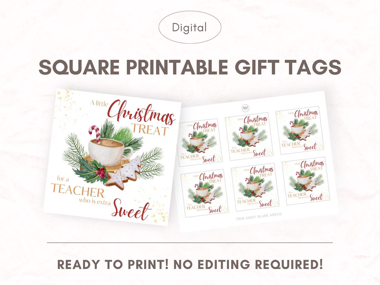 Christmas Teacher Gift Tag, Christmas Treat for Teacher Who is Extra ...