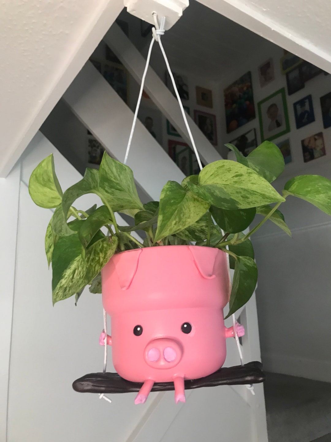Paxton the Pig Cute Character Pink Hanging Planter Plant Pot Available ...