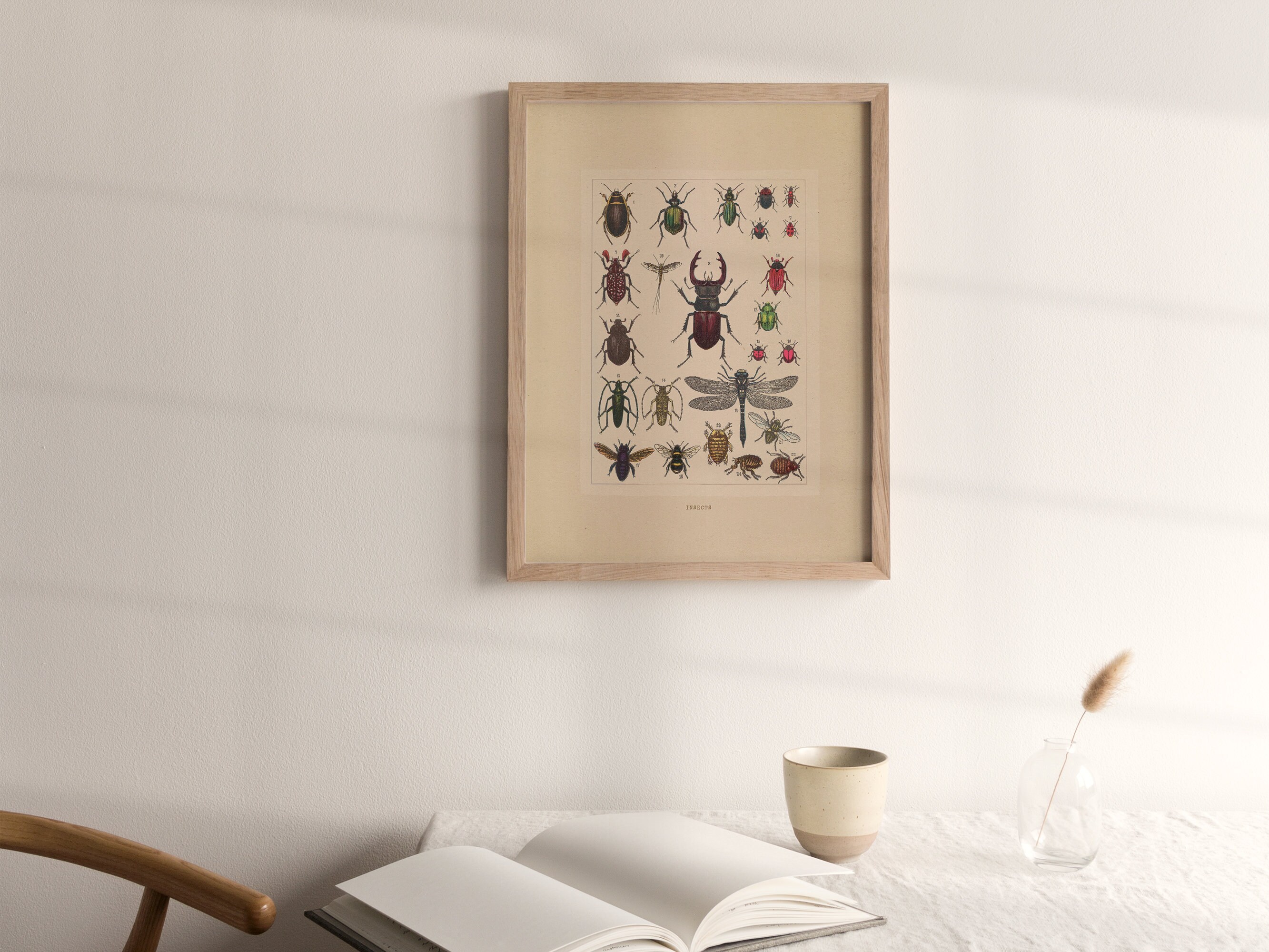 Vintage Insect Specimens Poster Printable Wall Art Nature Poster Print ...