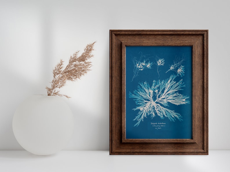 Vintage Cyanotype Photography Downloadable Print Blue Ocean Wall Art ...