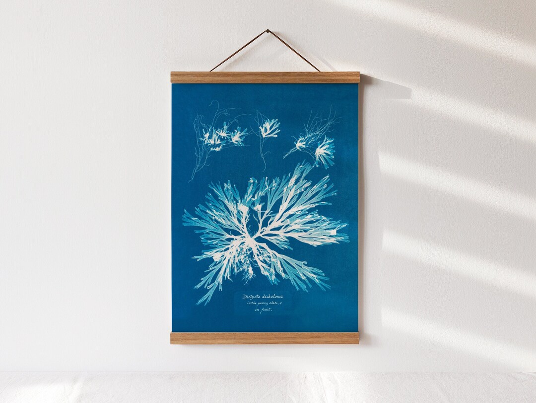 Vintage Cyanotype Photography Downloadable Print | Blue Ocean Wall Art ...