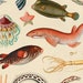 Sea Creatures Wall Art Set of 2 Vintage Printable Posters Instant ...
