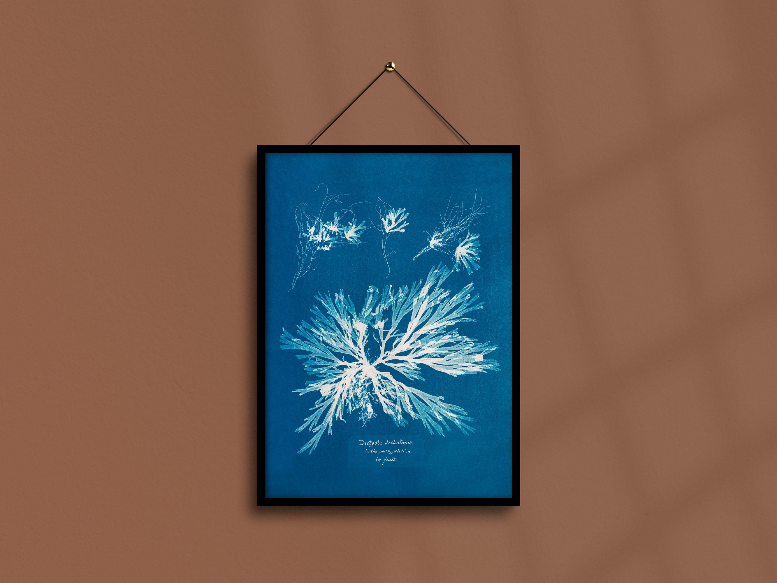 Vintage Cyanotype Photography Downloadable Print Blue Ocean Wall Art ...