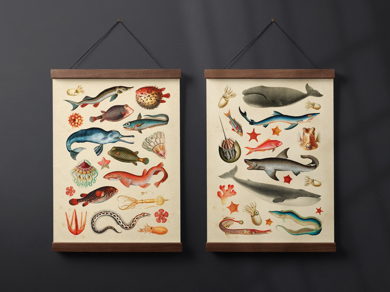 Sea Creatures Wall Art Set of 2 Vintage Printable Posters Instant ...